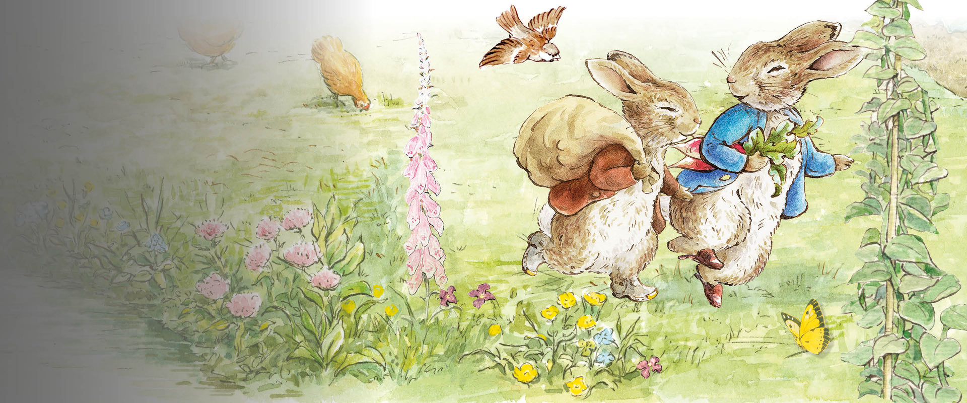 Beatrix Potter soft toys, gifts and collectables. – Beatrix Potter ...